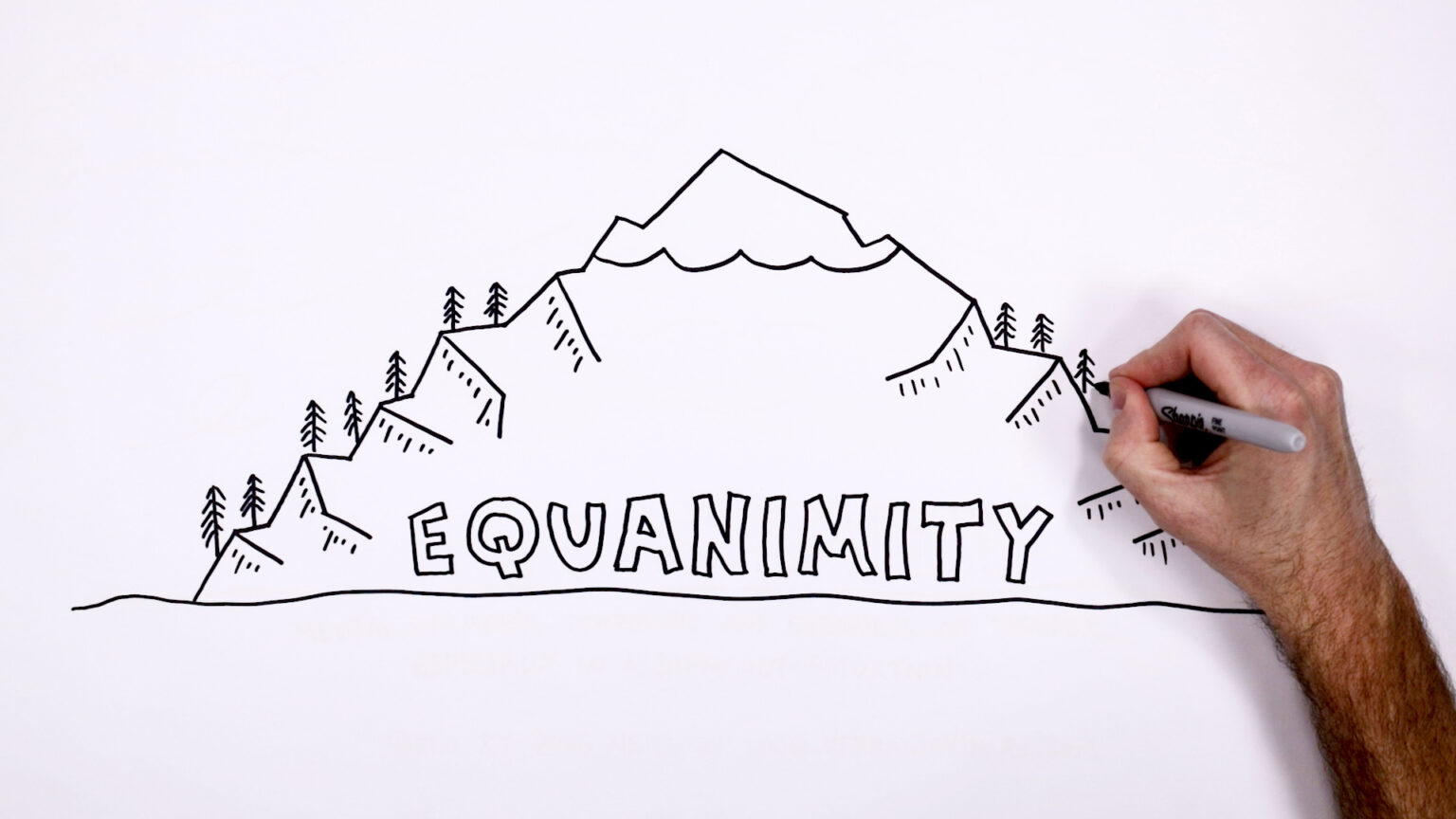 Blog - Verbal to Visual